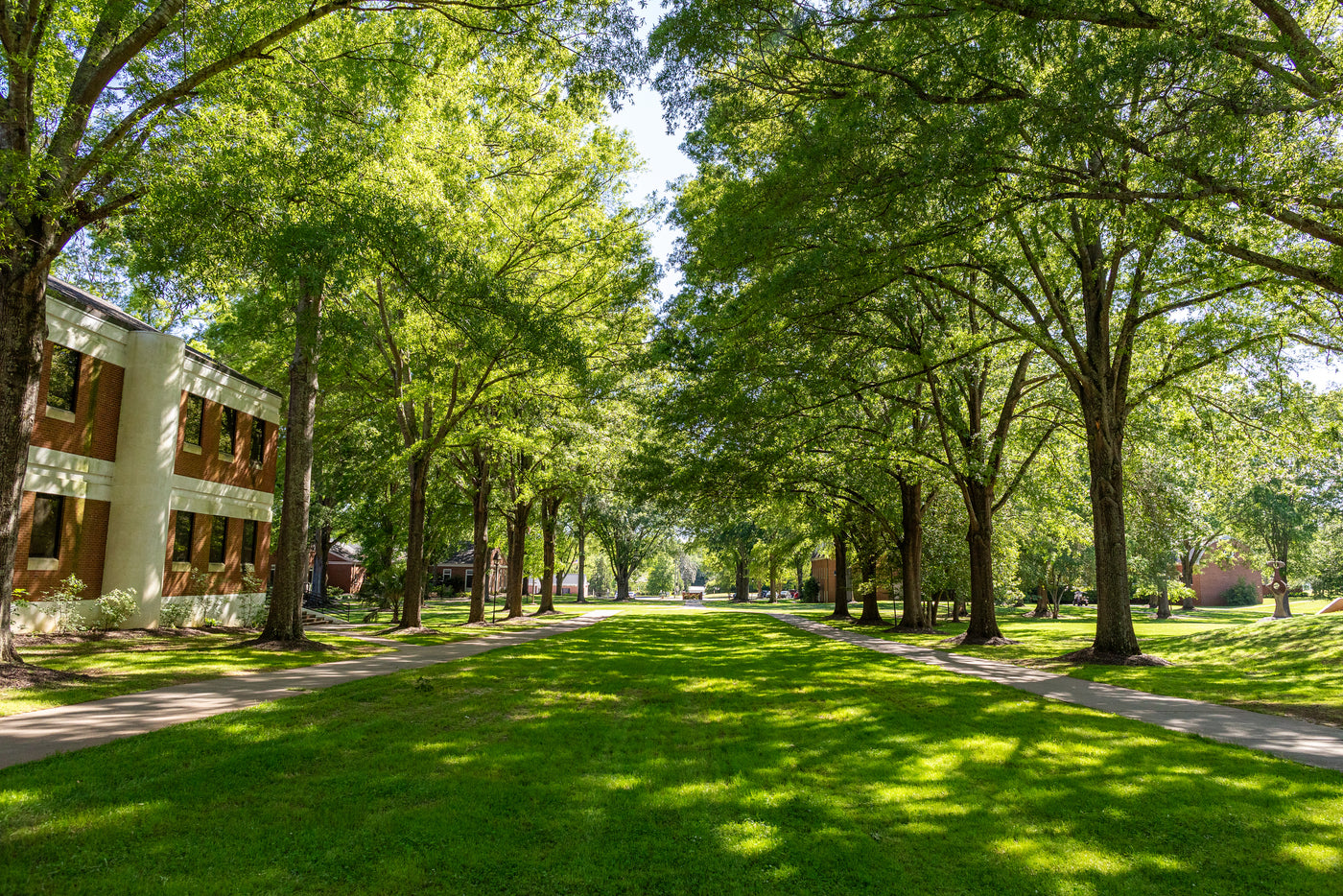 2026 GENERATE Camp – GENERATE by YM360